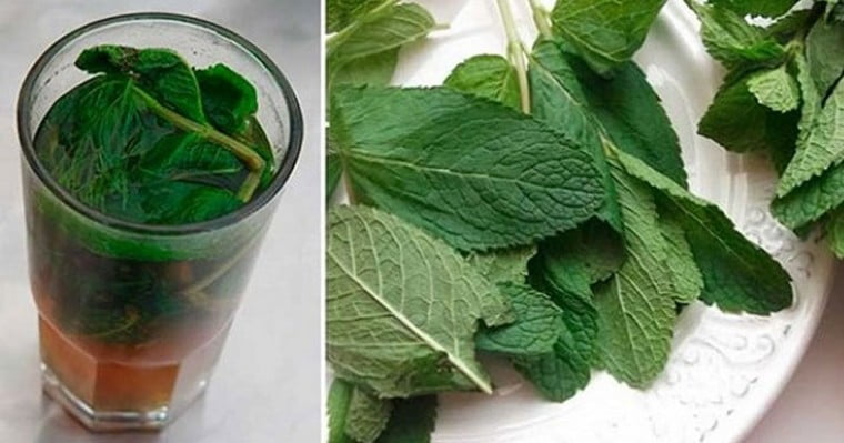 Conheça o remédio natural com base em hortelã para renovar o fígado